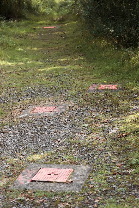 Alma - Joachim Brohm